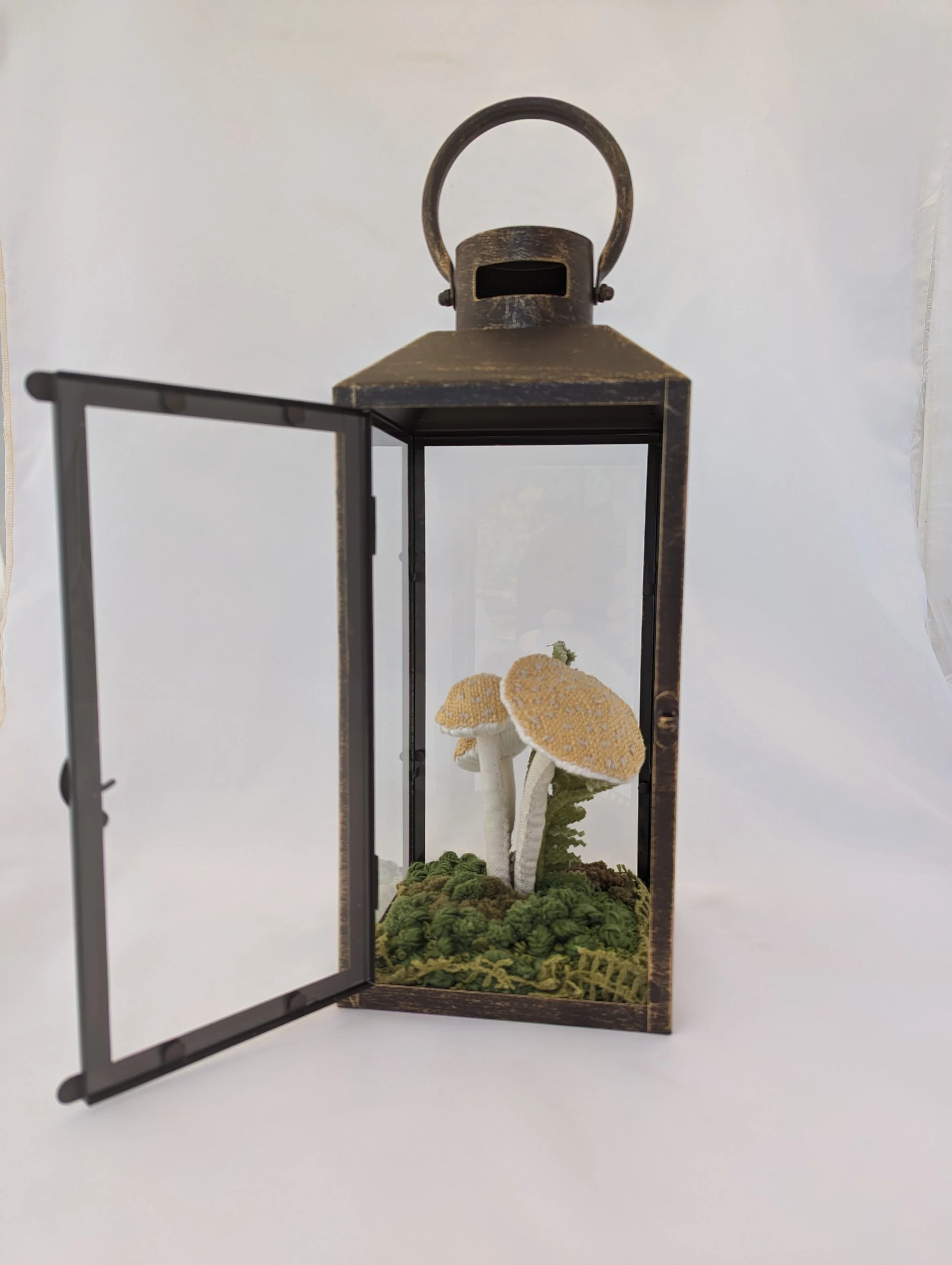 Fiber inky cap mushroom terrarium — Kim Tepe Fiber Artist