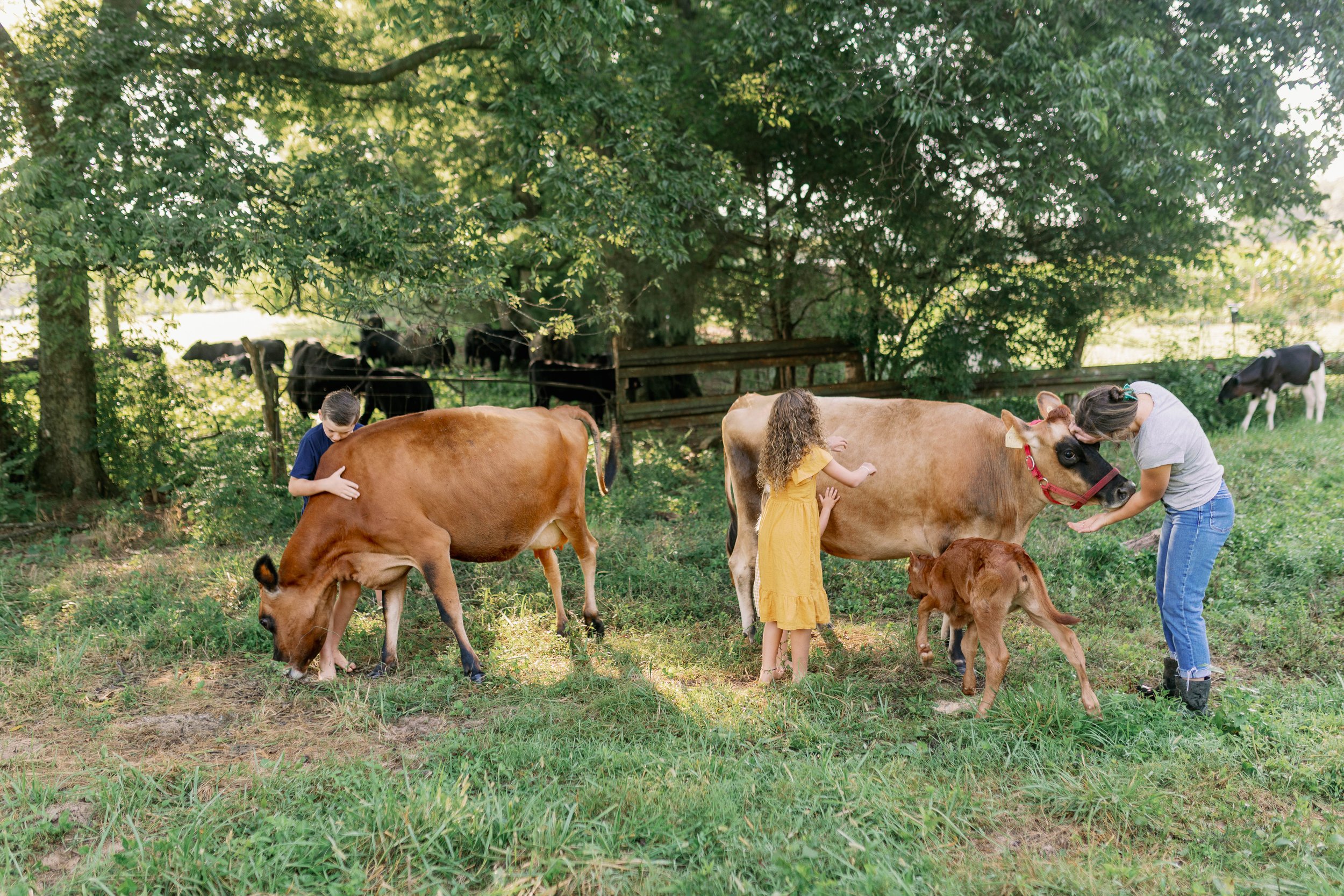 Gregory Family Farm