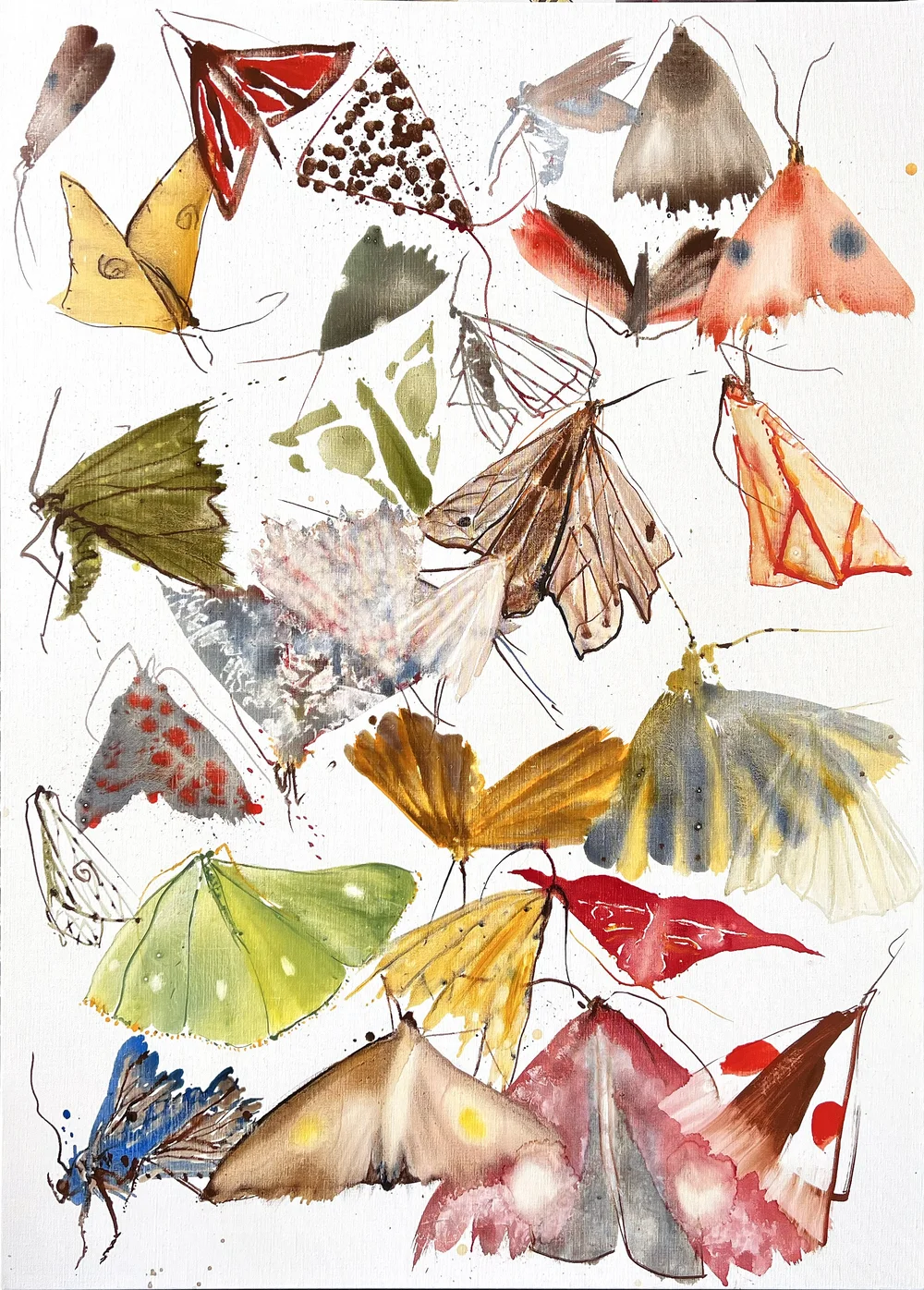 Moth Paintings — Allyson Reynolds
