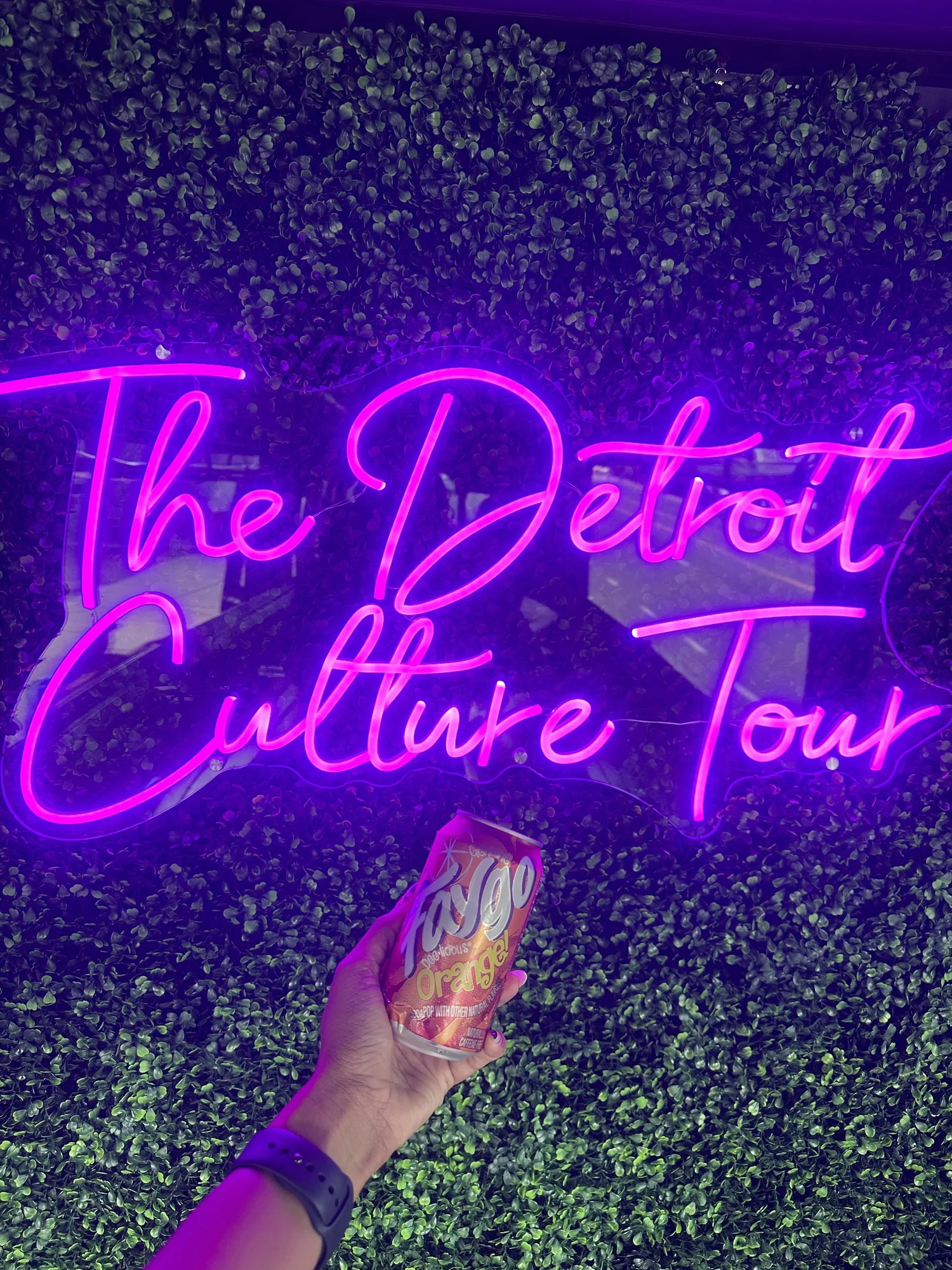 The Detroit Culture Tour