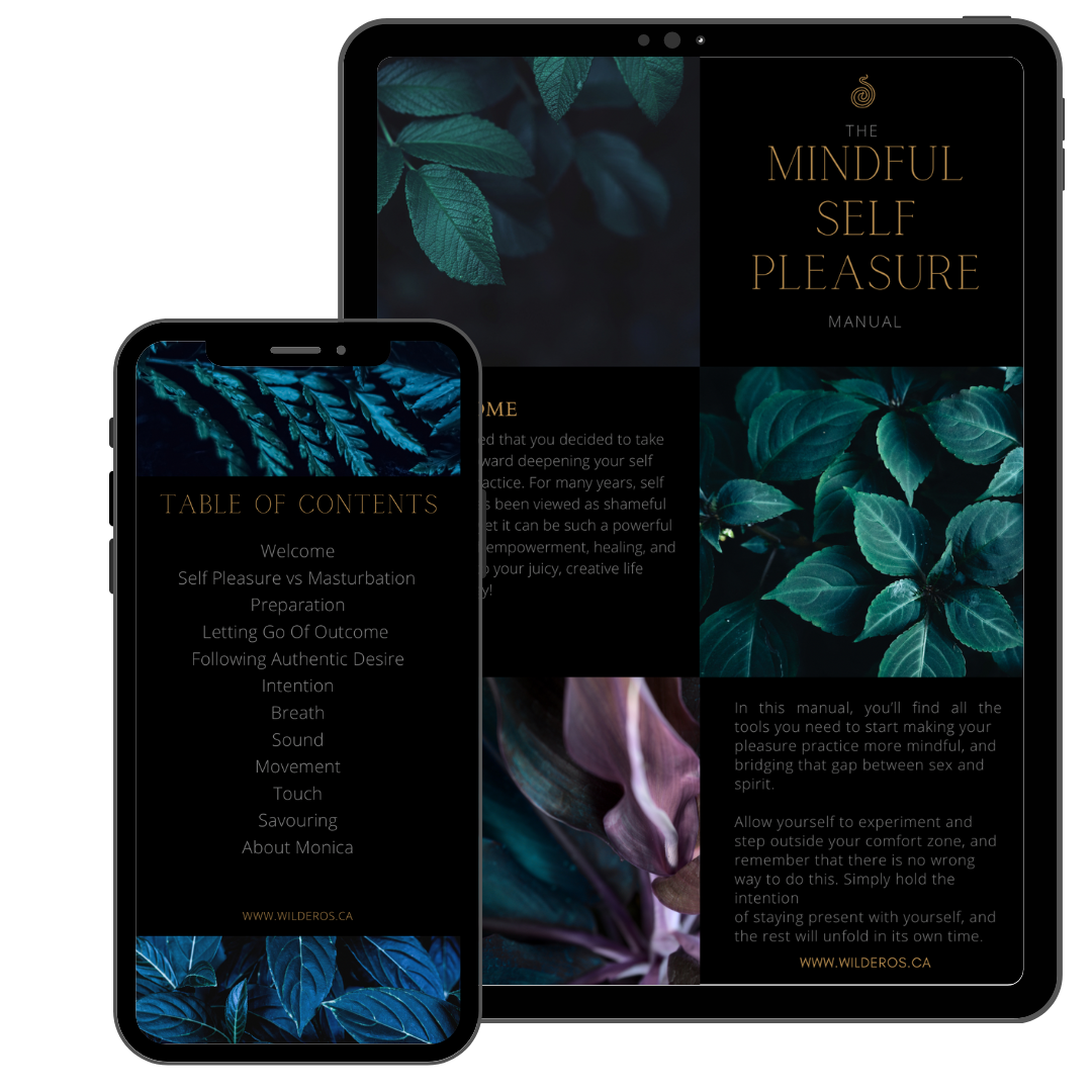 Mindful Self Pleasure Manual — Wild Eros | Sacred Sexuality and Embodiment Coaching
