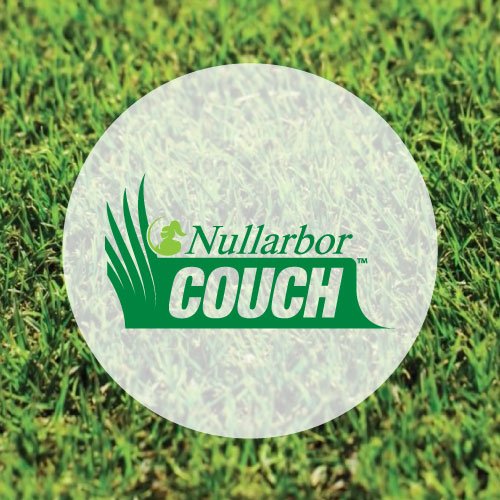 Nullabor Couch Grass — Agland Turf Supplies