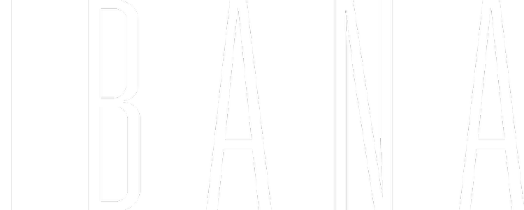 Ibana Fashion — NETRACO