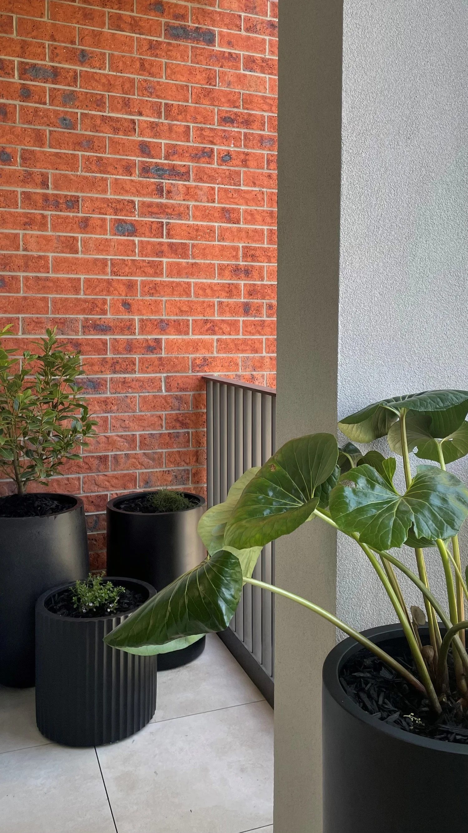 Richmond Planter and Balcony Pots — Platylobium Landscape Design