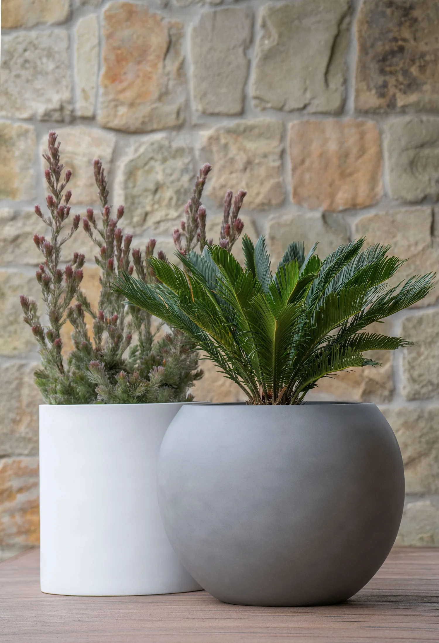 pot styling — Platylobium Landscape Design