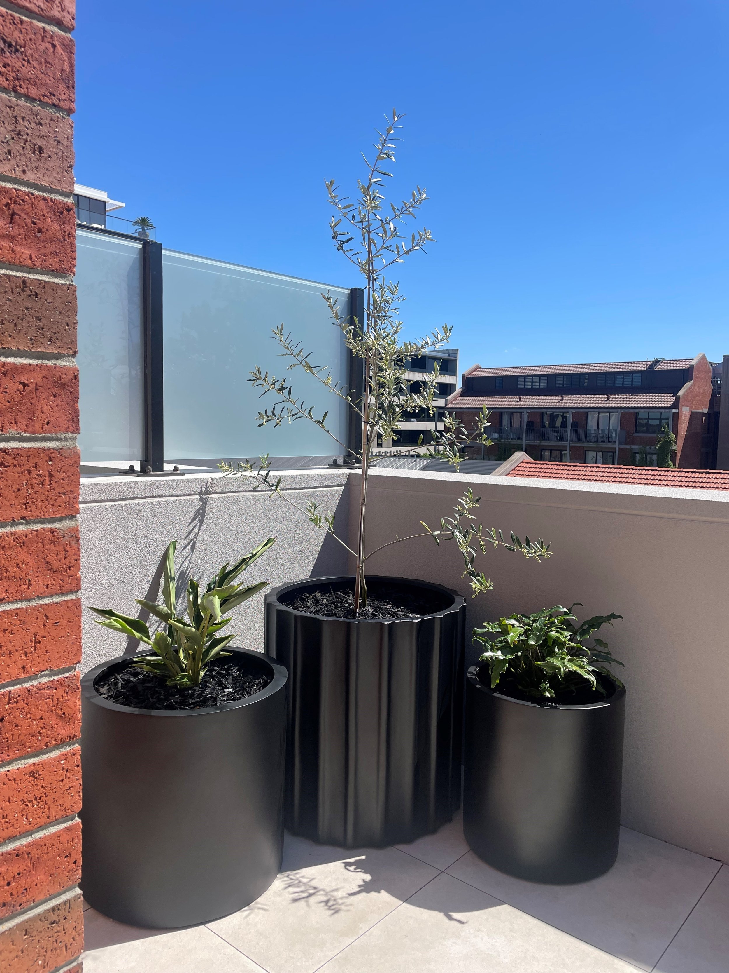 Richmond Planter and Balcony Pots — Platylobium Landscape Design