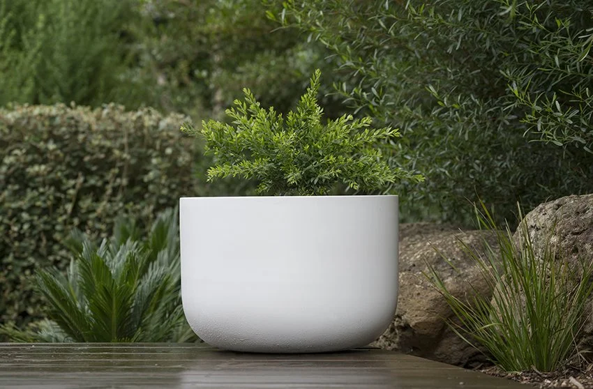pot styling — Platylobium Landscape Design