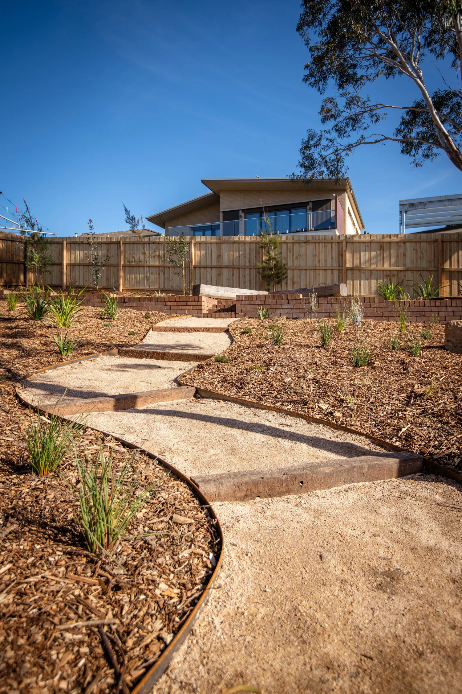 Highton — Platylobium Landscape Design