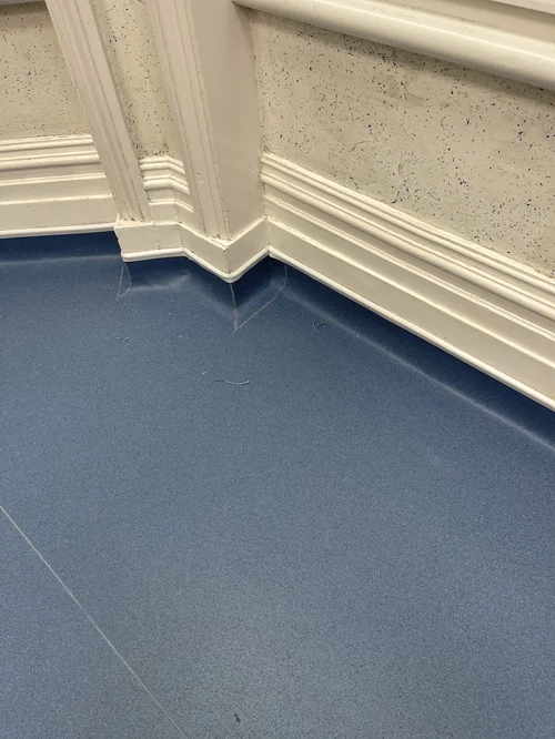 Cap and Cove Flooring — Crescent Flooring