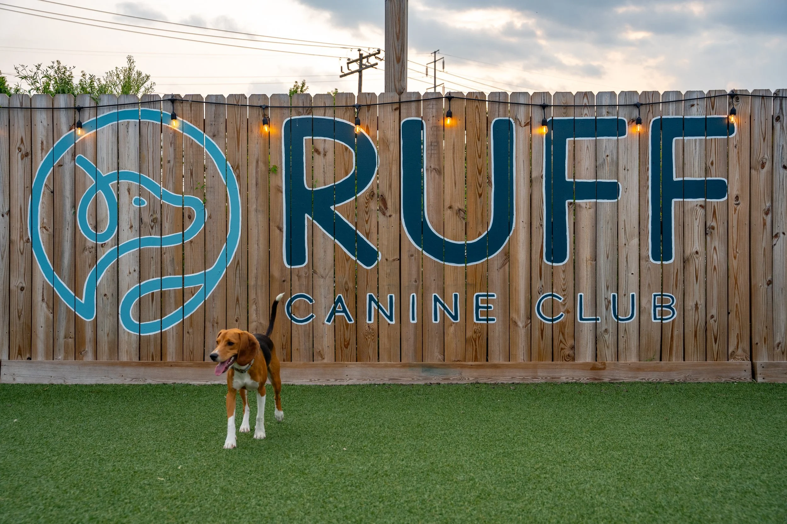 Ruff Park Rules — Ruff Canine Club