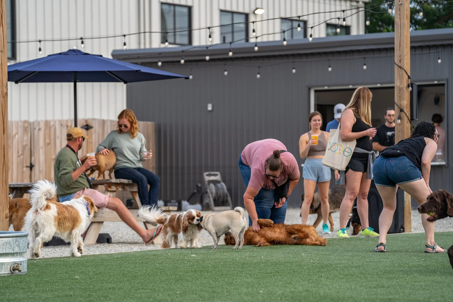 Ruff Park Rules — Ruff Canine Club