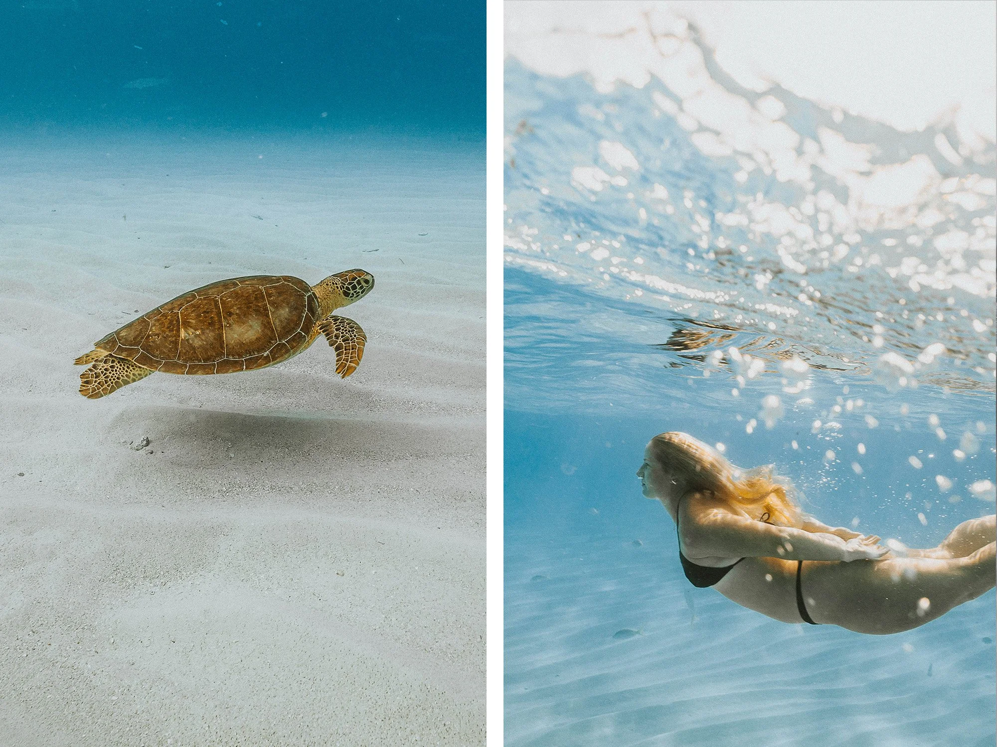 How to Prepare For Your Underwater Photoshoot — Christy Renee Destinations