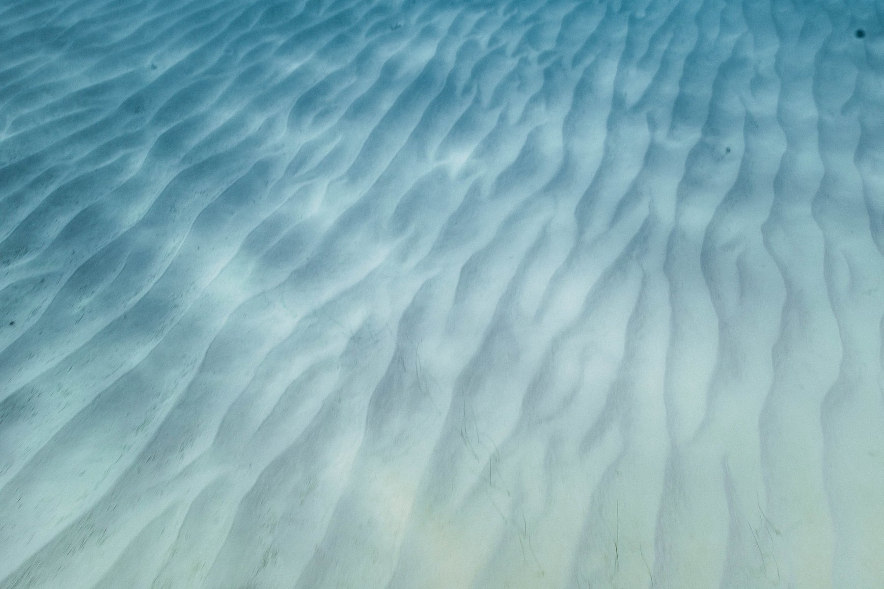 A Magical Underwater Maternity Photoshoot in the Bahamas — Christy ...