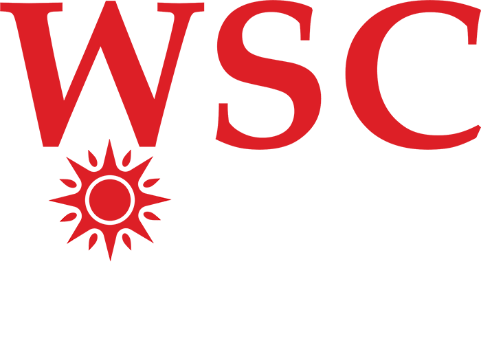 Does Solar Work on Cloudy Days? — WSC Solar & Roofing