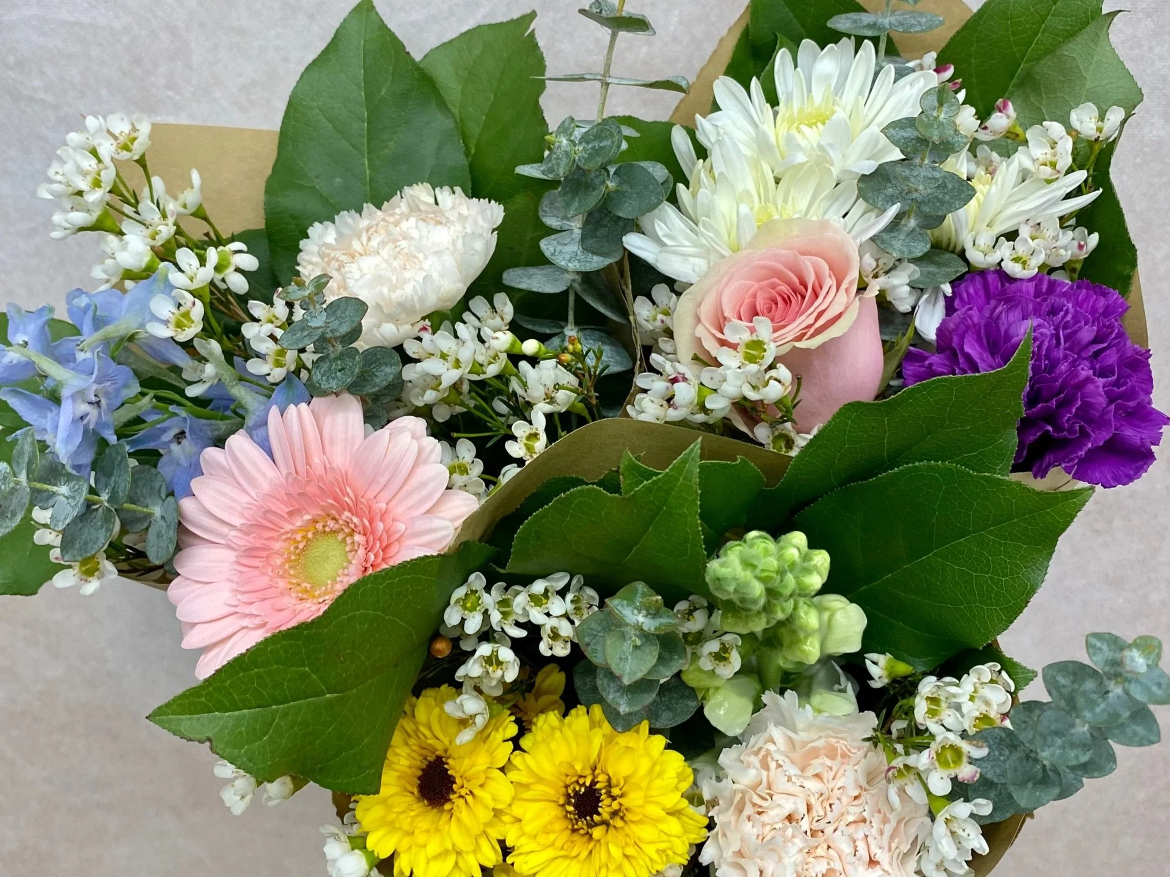 Lemon Meringue Piqua Florist