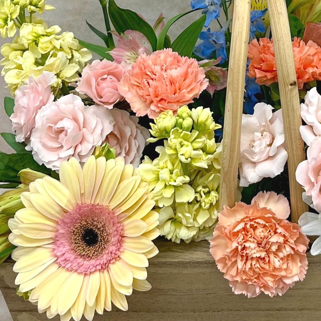 Lemon Meringue Piqua Florist