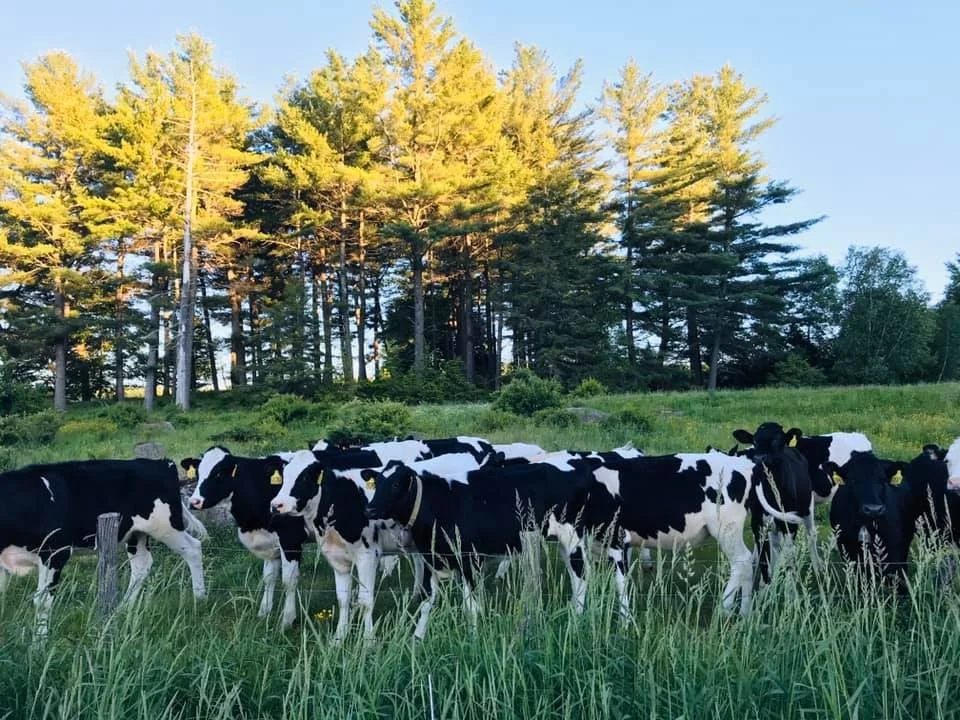 About | Family Owned & Operated — Eccardt Farm