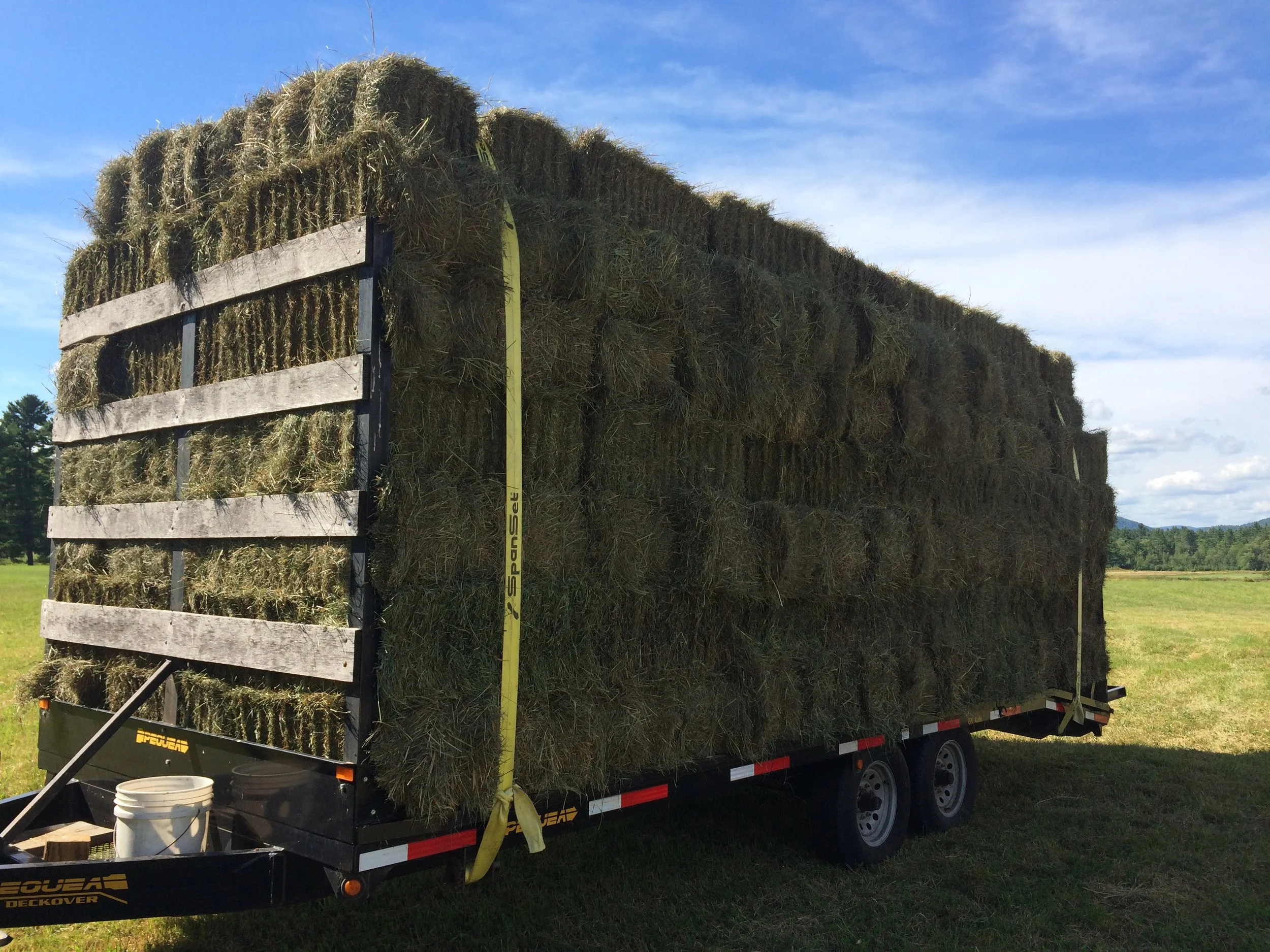 Products | Grassfed Beef | Square Hay Bales | Dairy Products | Pantry ...