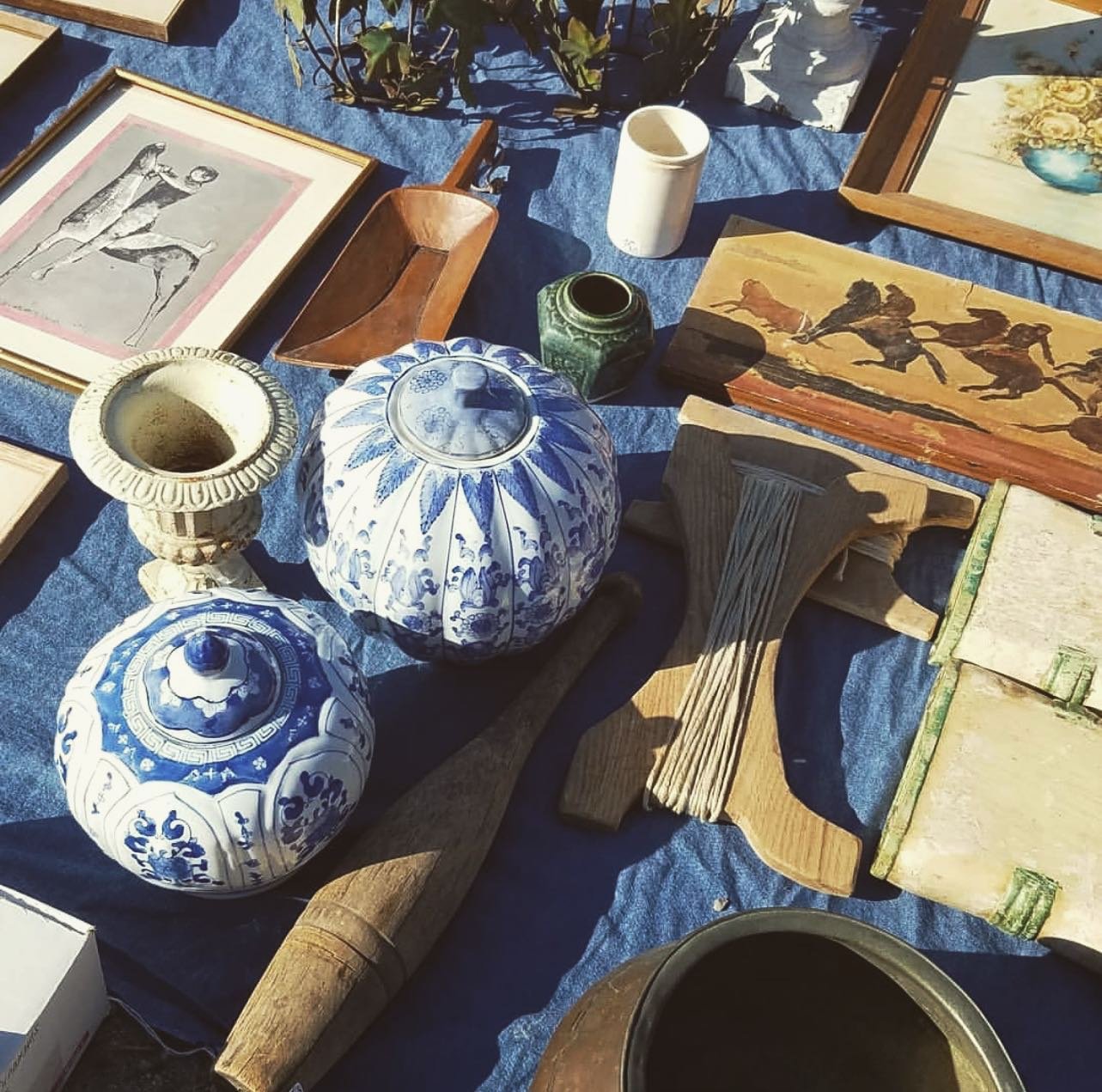 Ongoing Events | Discover Ongoing Events Today — Earl Warren Showgrounds