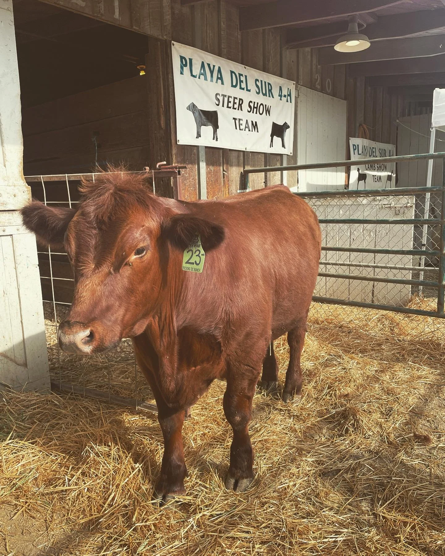 Santa Barbara Fair & Expo — Earl Warren Showgrounds