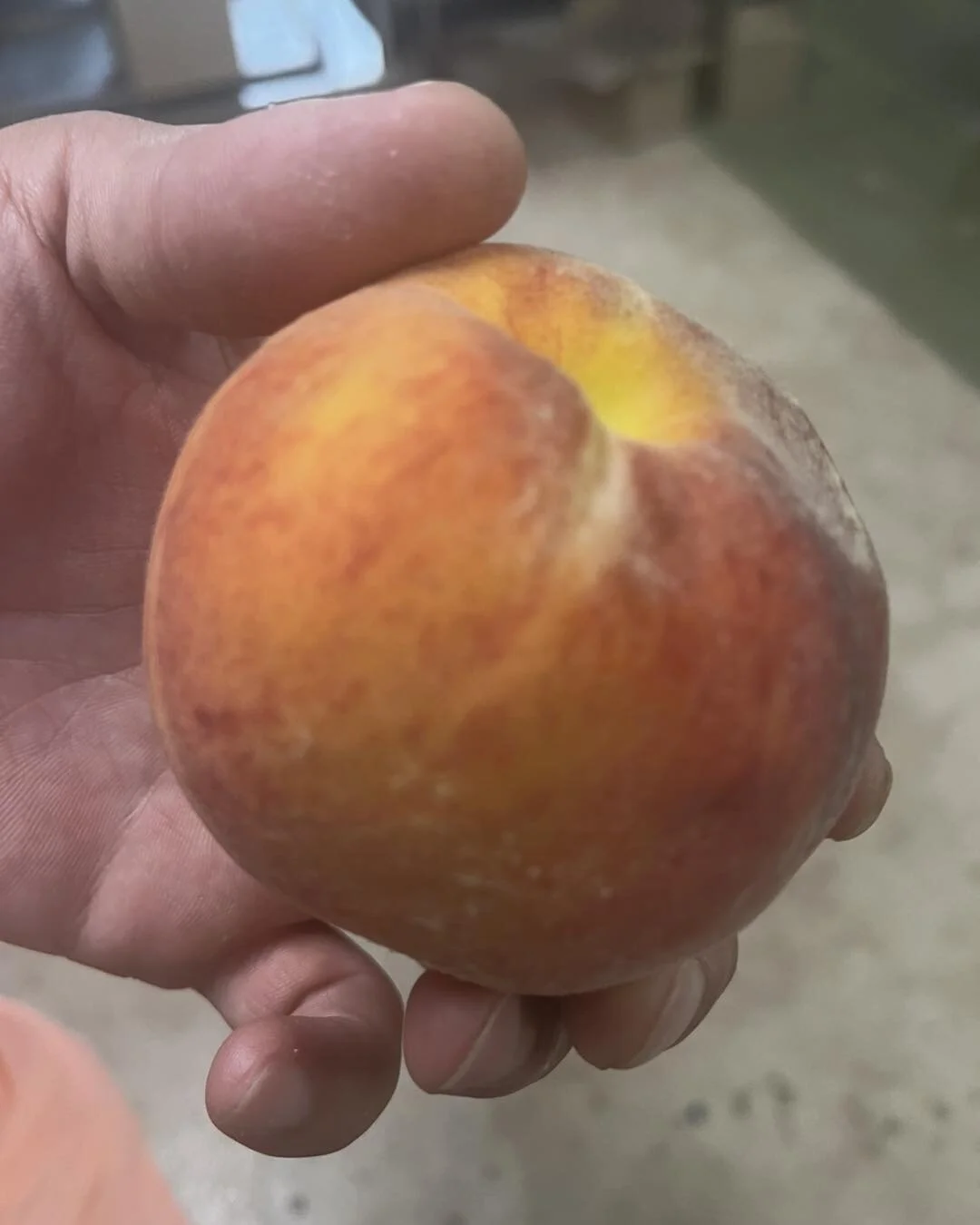 Bigg Riggs Farm | Farm Fresh Produce Boxes | Fruits & Vegetables ...