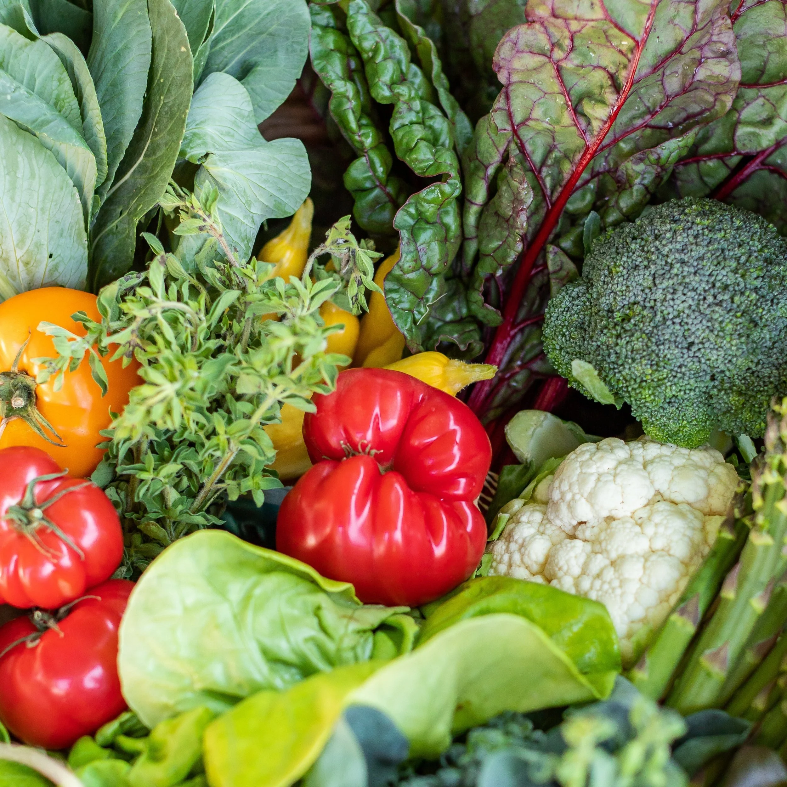 Bigg Riggs Farm | Farm Fresh Produce Boxes | Fruits & Vegetables ...