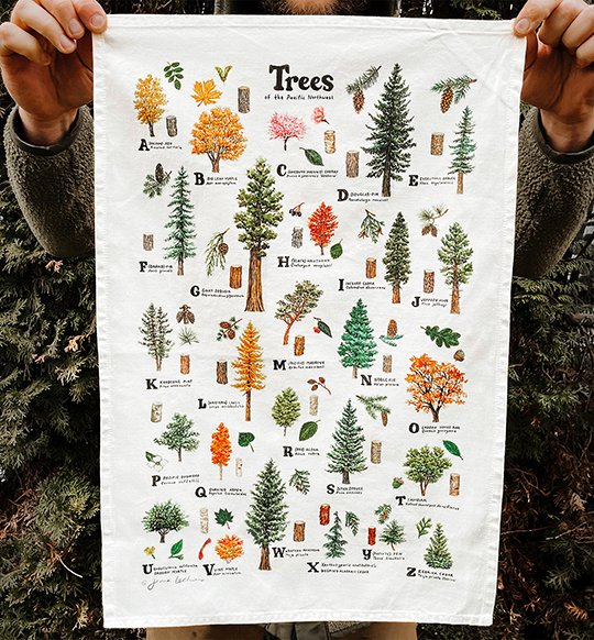 Trees of the Pacific Northwest — Jenna Lechner