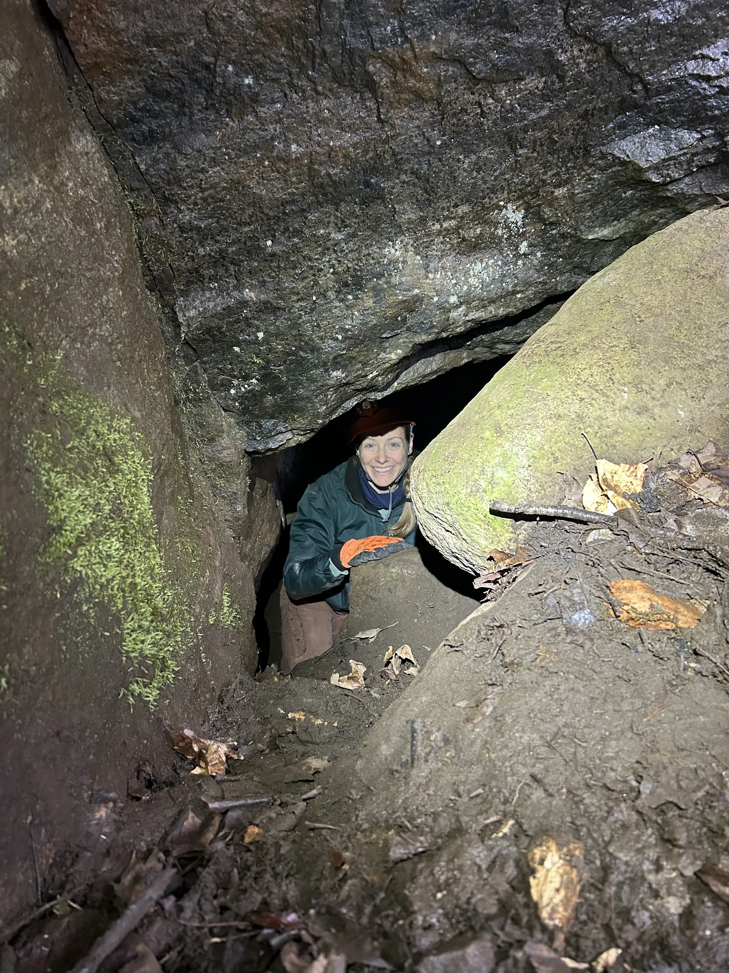 Bat Ecology, Conservation, & Research Methods — Center for Wildlife Studies