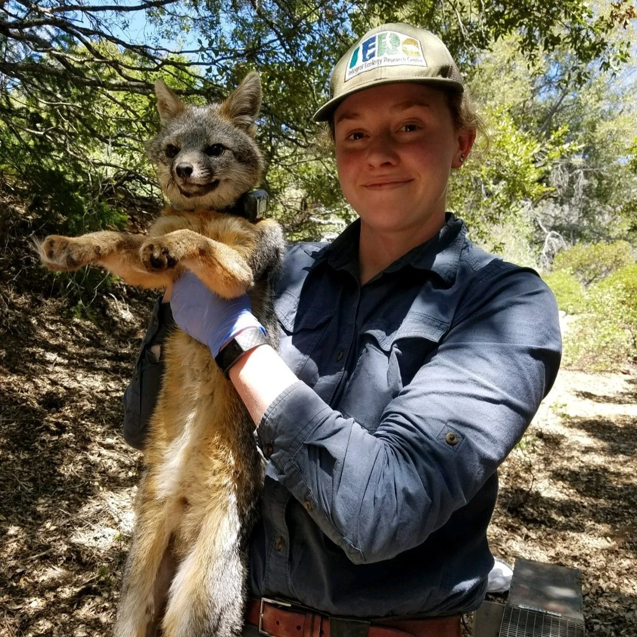 Transdisciplinary Human-Wildlife Conflict Management & Resolution ...