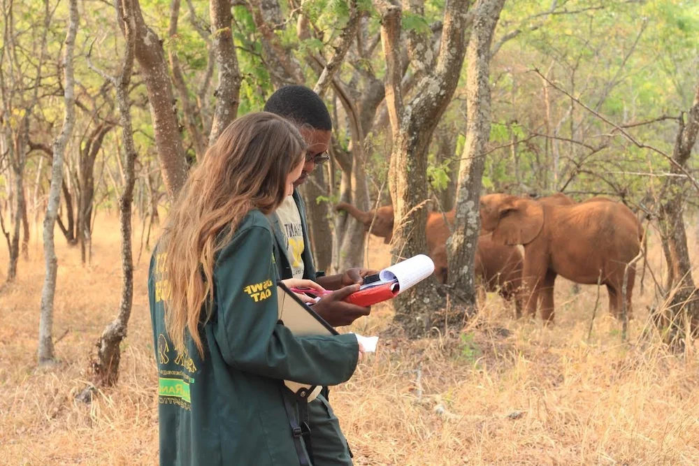 Pro Certificate — Center for Wildlife Studies