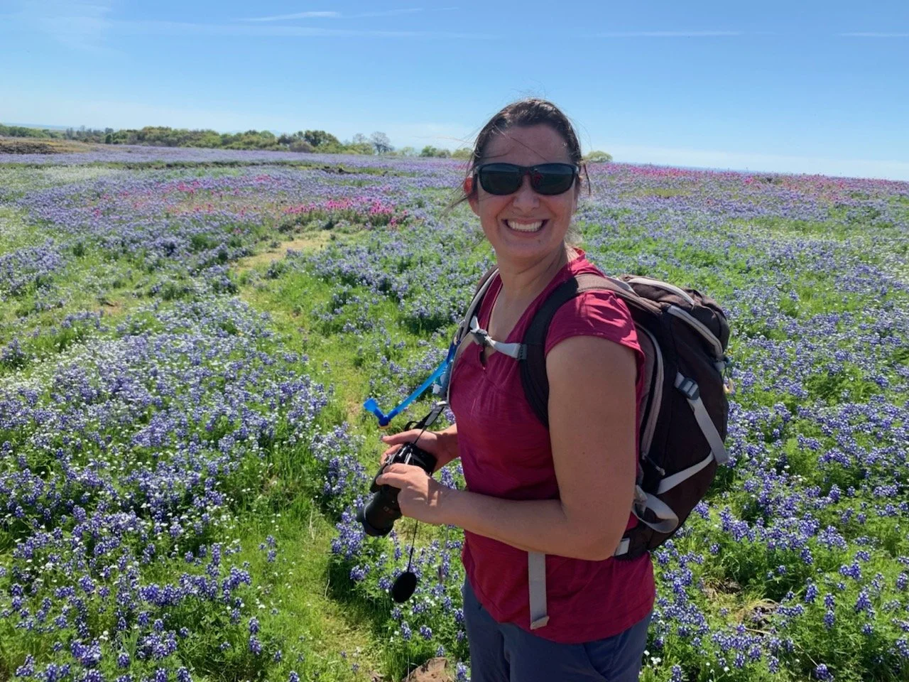 Introduction to Ecological Statistics and Modeling — Center for ...