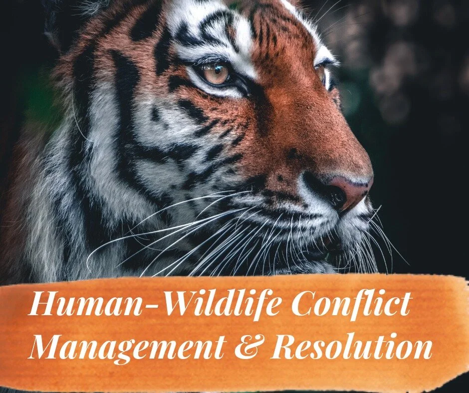 Center for Wildlife Studies