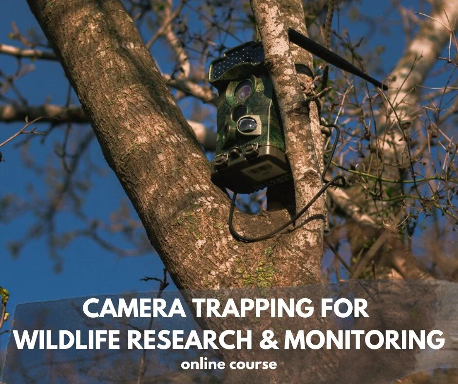 Center for Wildlife Studies