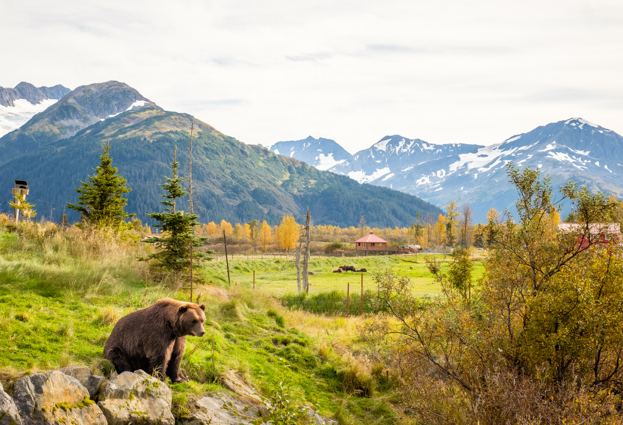 Wildlife Short Courses — Center for Wildlife Studies