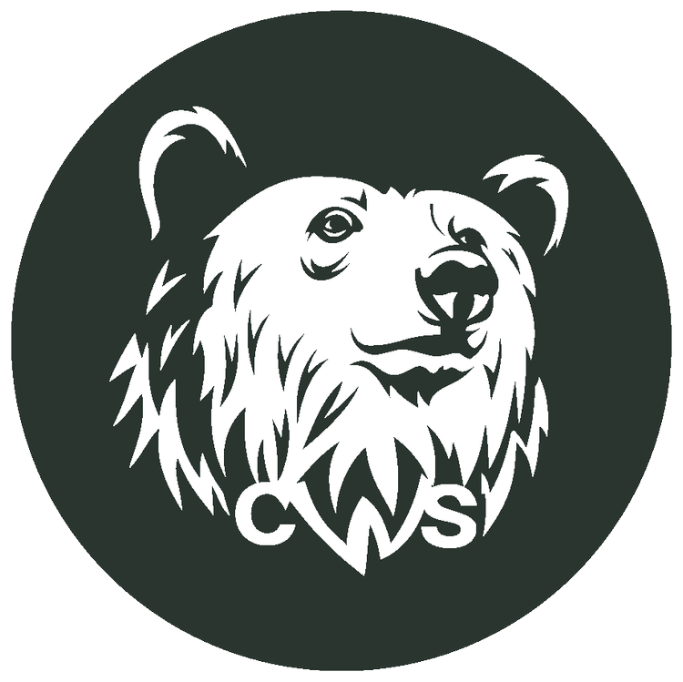 The Future of Conservation: How Technology Is Transforming Wildlife ...