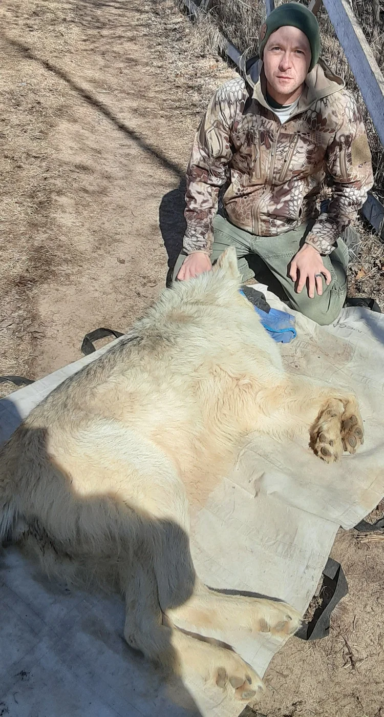 Introduction to Capture-Mark-Recapture — Center for Wildlife Studies