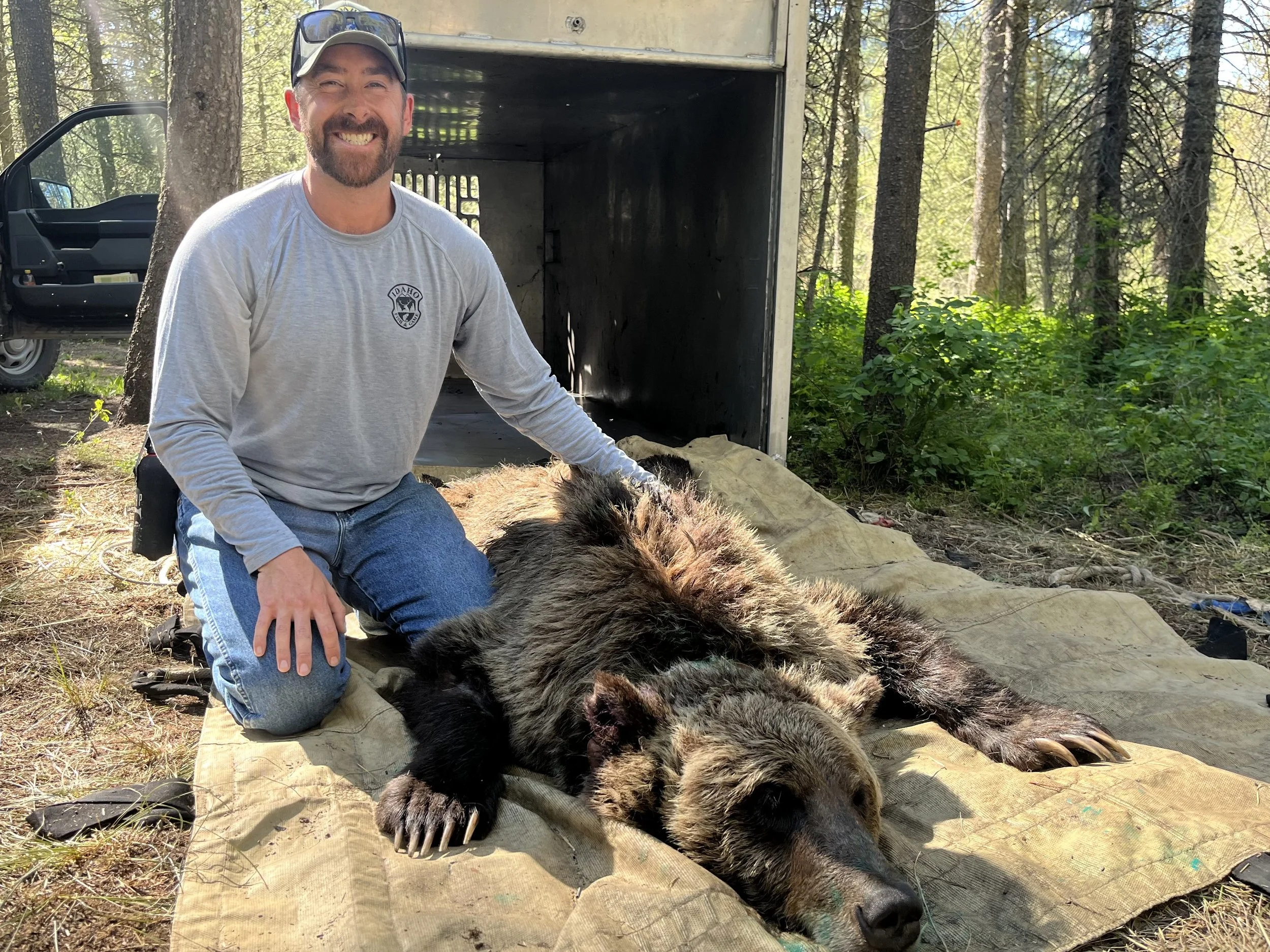 Wildlife Capture and Chemical Immobilization (Online & Field) — Center ...