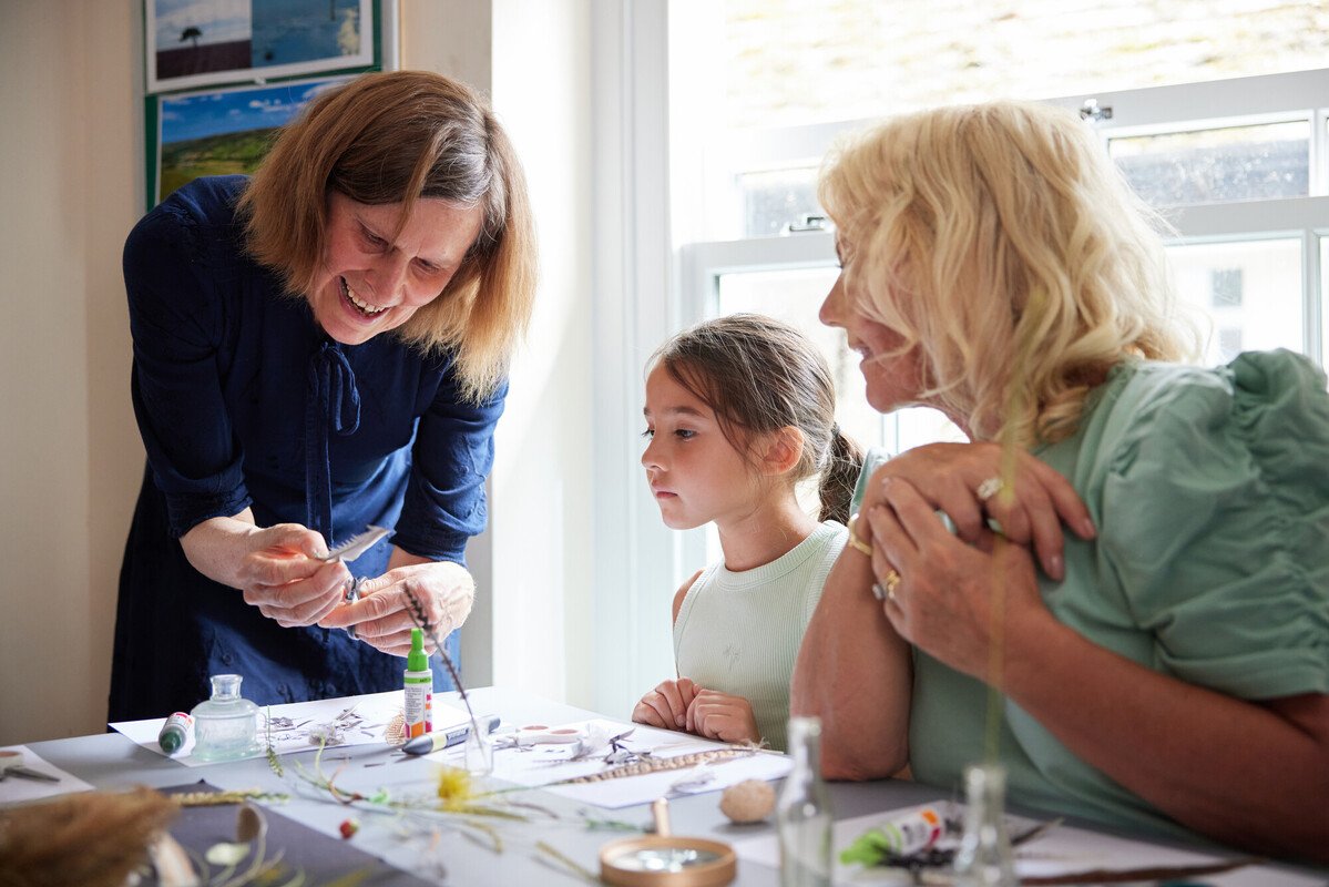 Immersive Art Showcases Awe and Wonder of 'Birds on the Edge' – Bridget ...