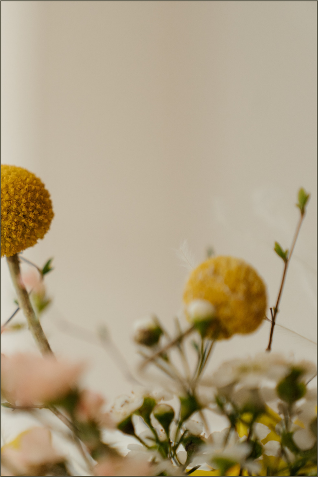 Treatment for Obsessive-Compulsive Disorder (OCD), Body Dysmorphic ...