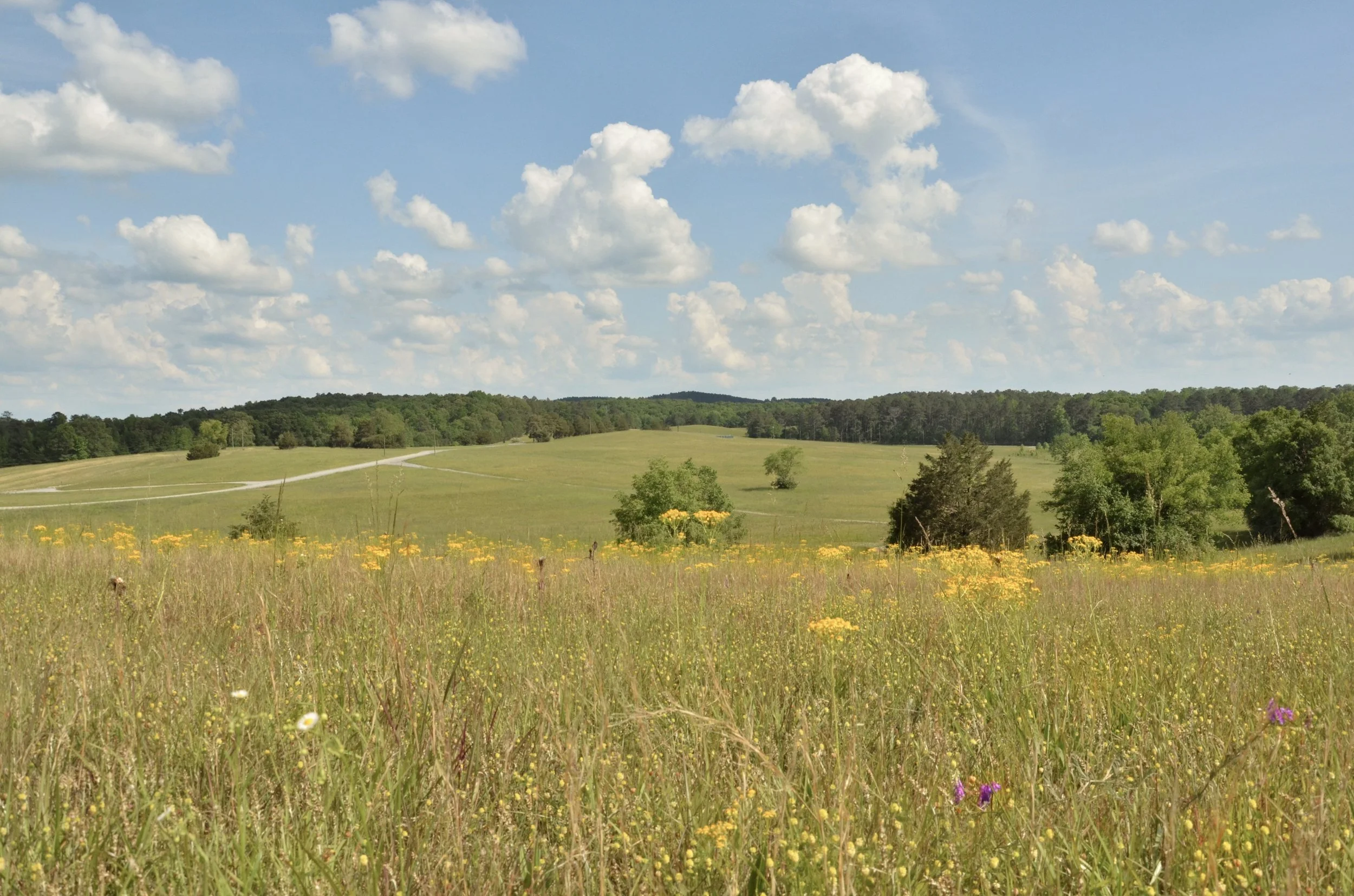 Contact | Kingston Downs