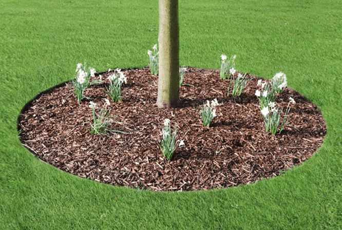 Garden Rings — EverEdge Ireland