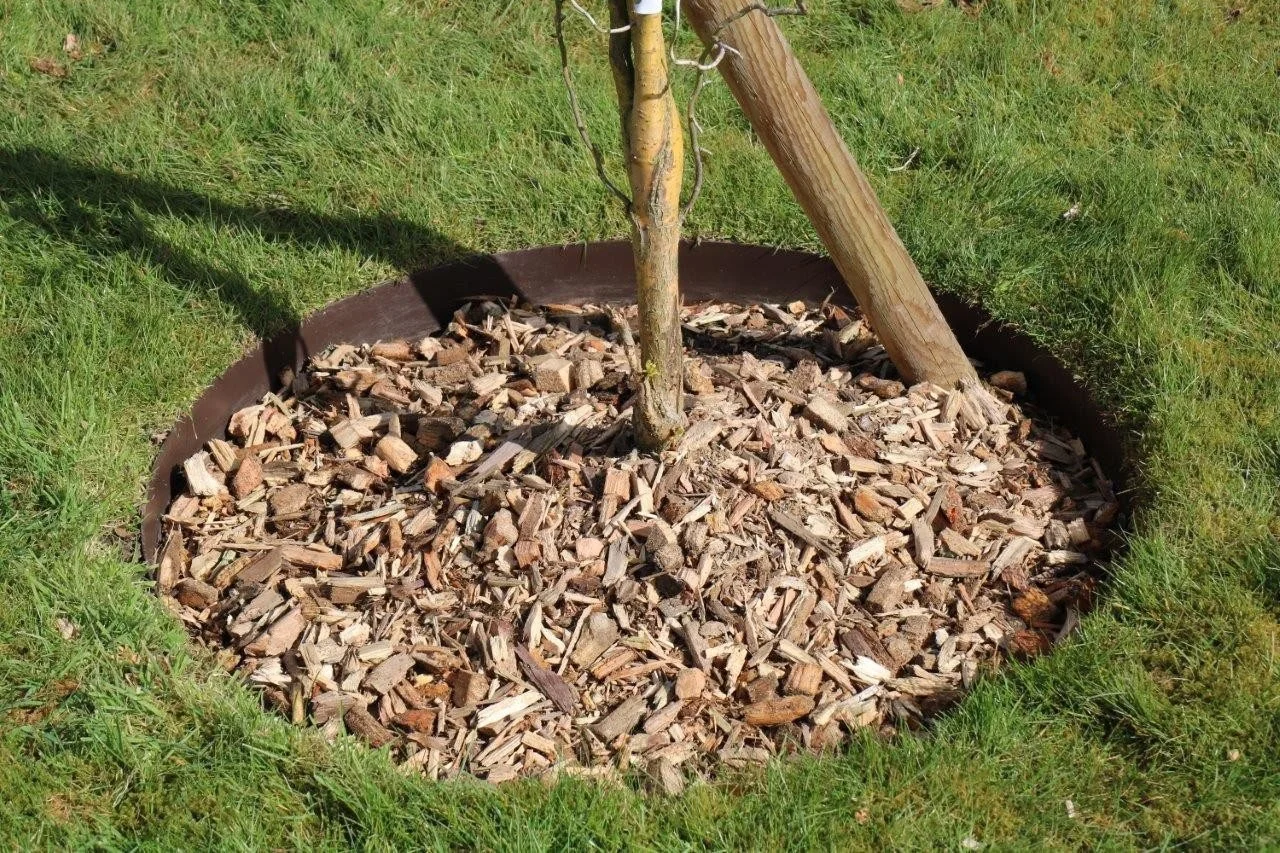Garden Rings — EverEdge Ireland