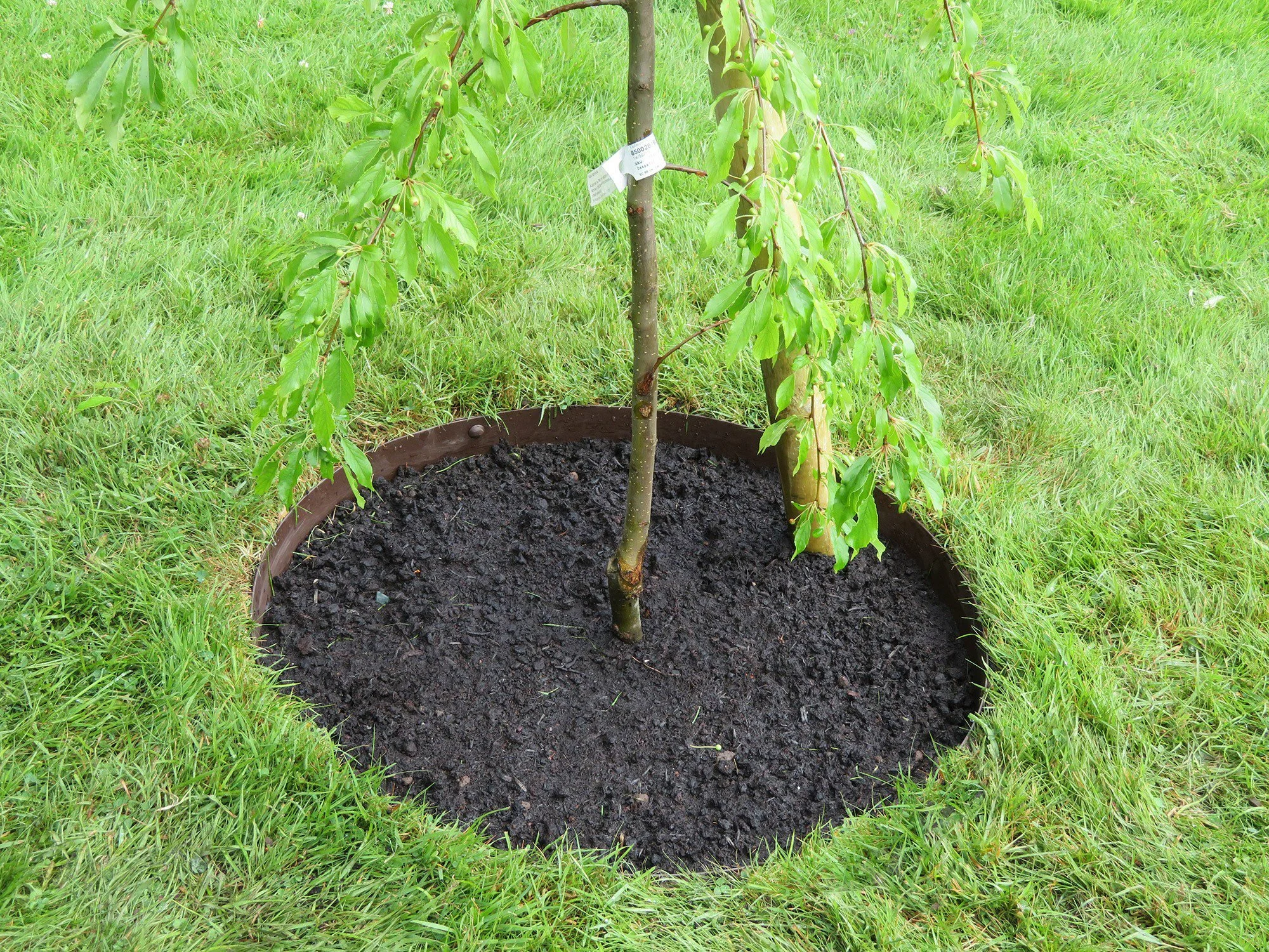 Garden Rings — EverEdge Ireland