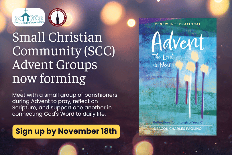 Support & Counseling — St. Peter the Apostle Roman Catholic Church