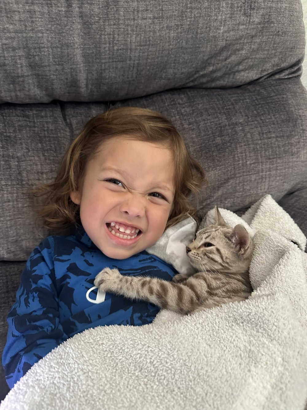 Lauralei Bengals