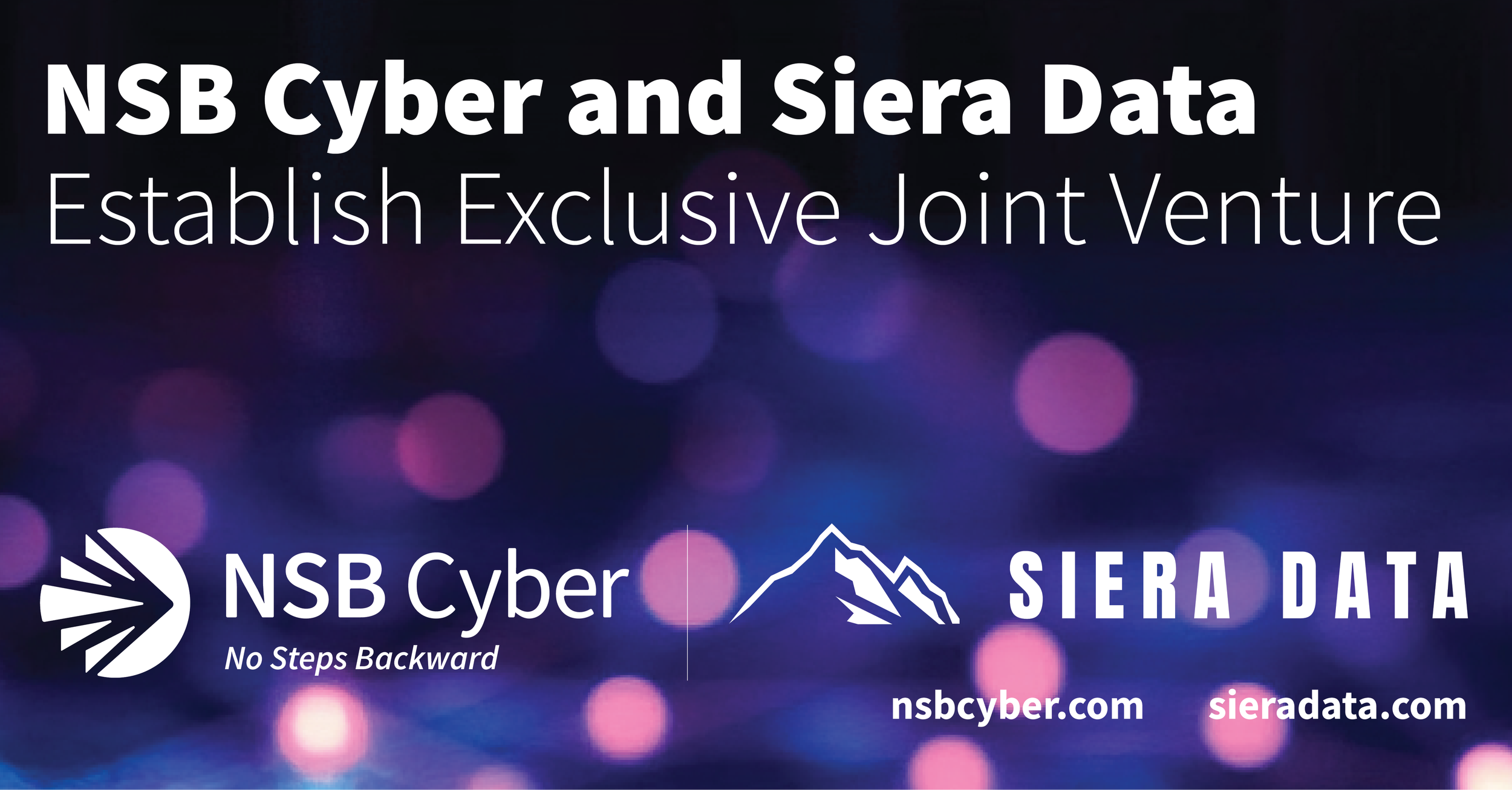 NSB Cyber and Siera Data Establish Exclusive Joint Venture — NSB Cyber