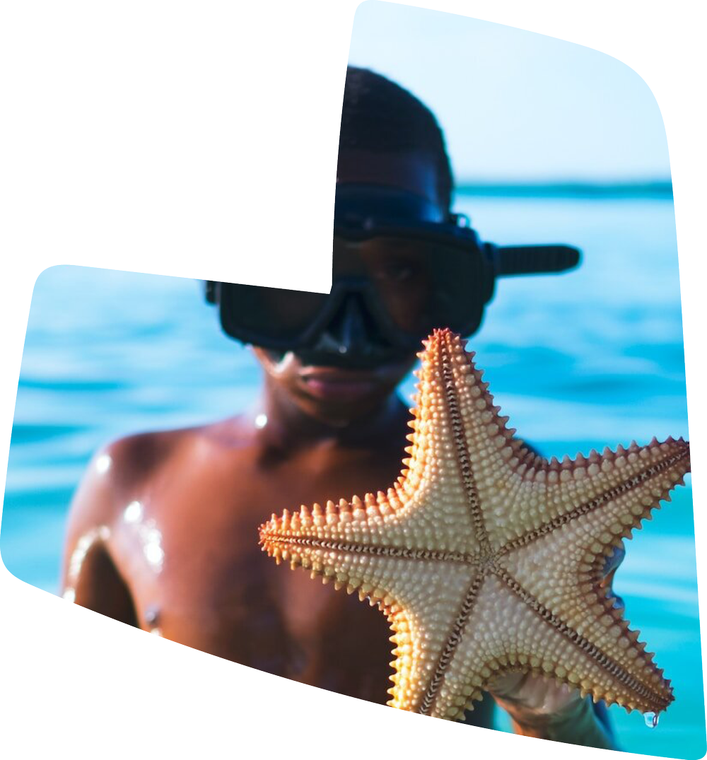 Earth Friends Environmental Literacy for Early Childhood