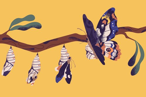 What Is a Transformation Coach? Definition & Key Concepts