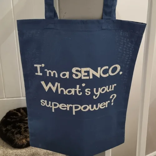 The little SEN resource shop