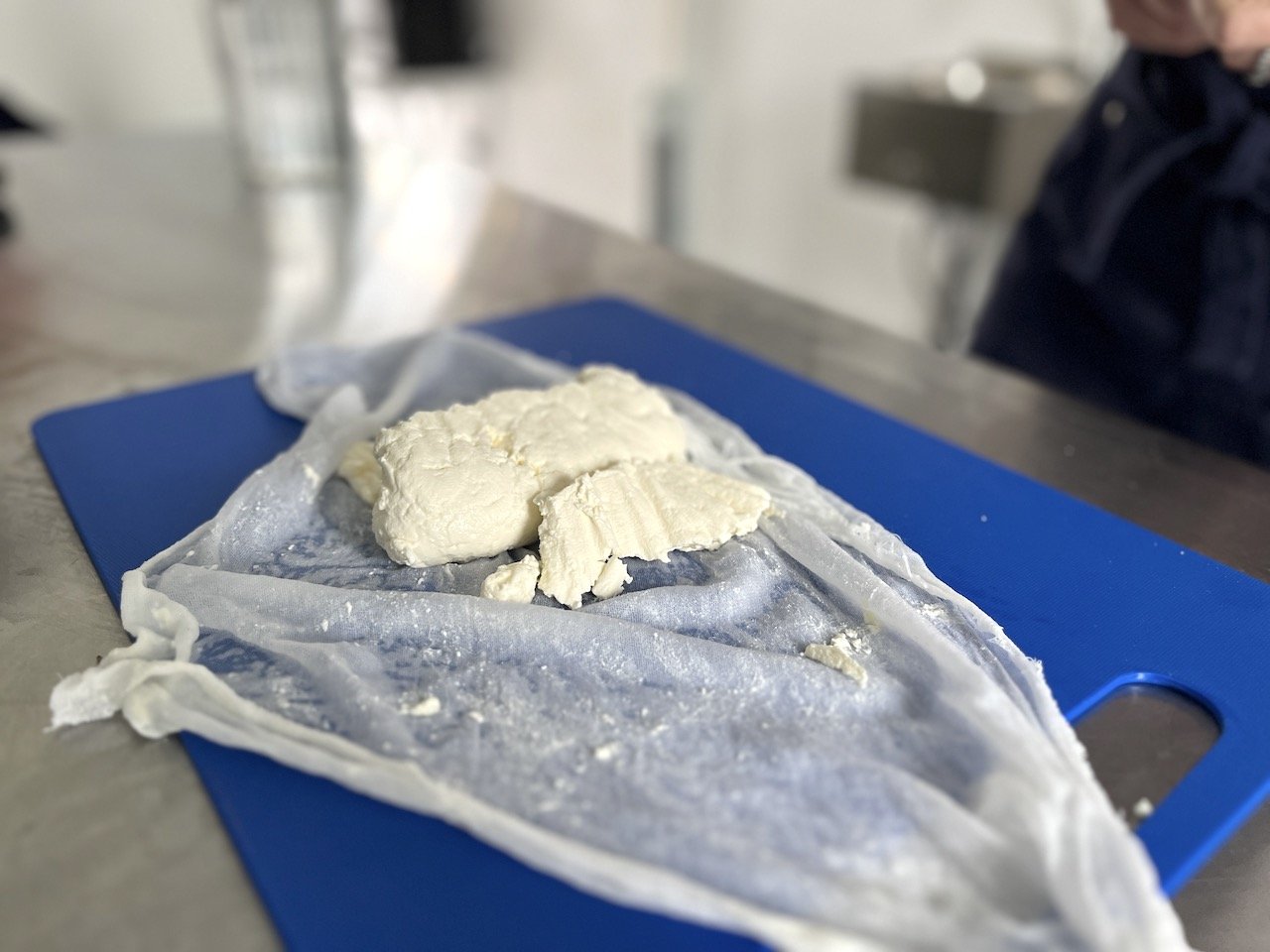 How easy is it to make cheese — Deanna Thomas